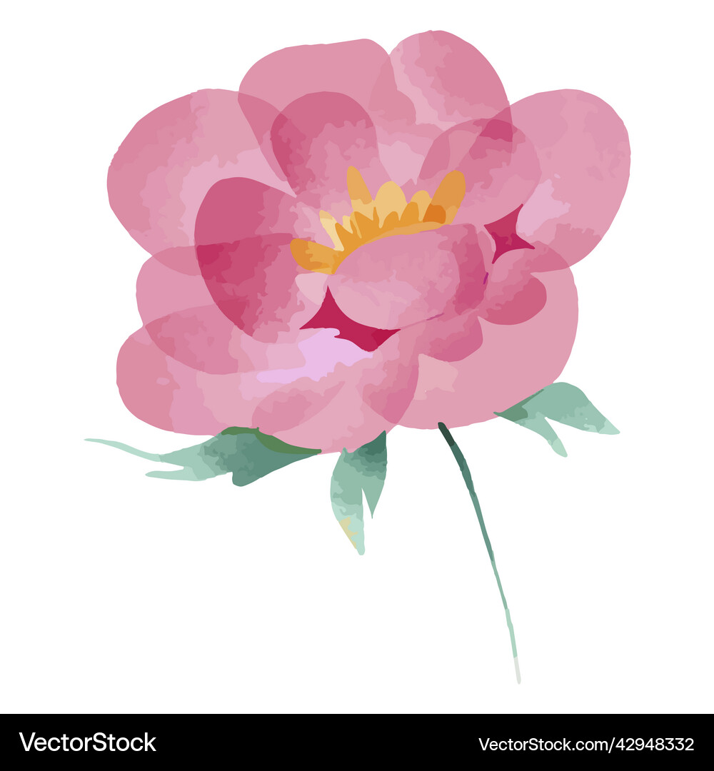 Watercolor pink flower high quality Royalty Free Vector
