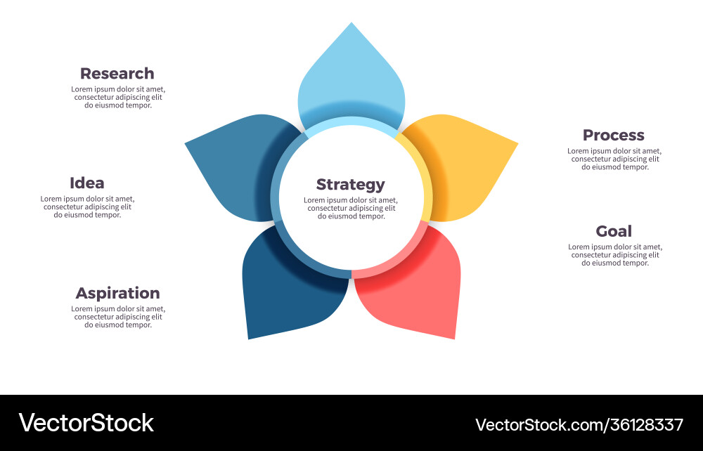 Business infographic flower chart with 5 options Vector Image