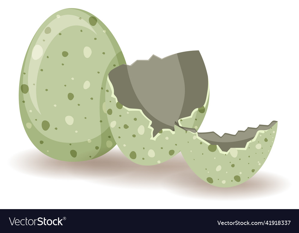 Egg shell cracking on white background Royalty Free Vector
