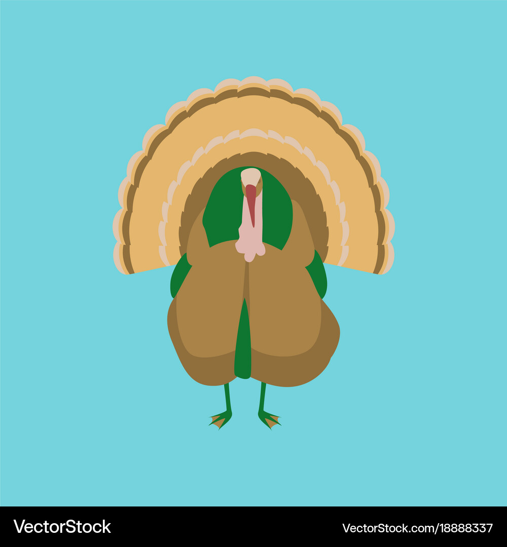 In flat style of turkey Royalty Free Vector Image