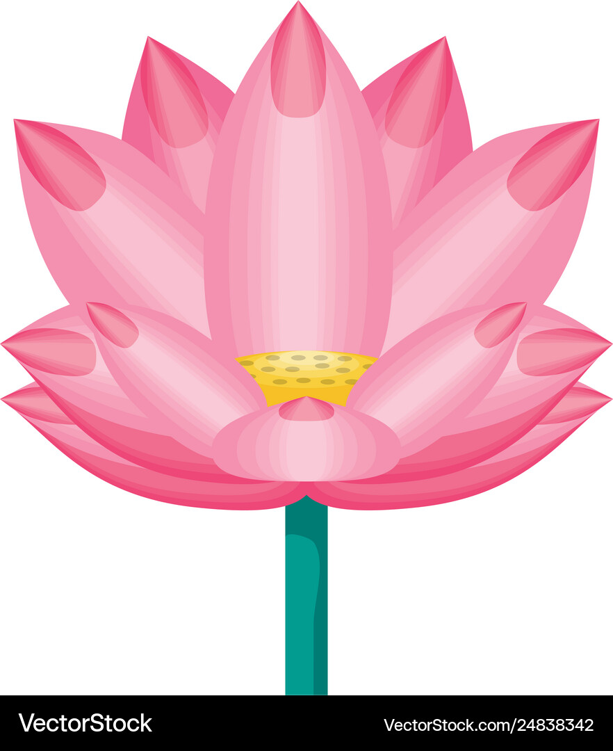 Chinese flower natural icon Royalty Free Vector Image