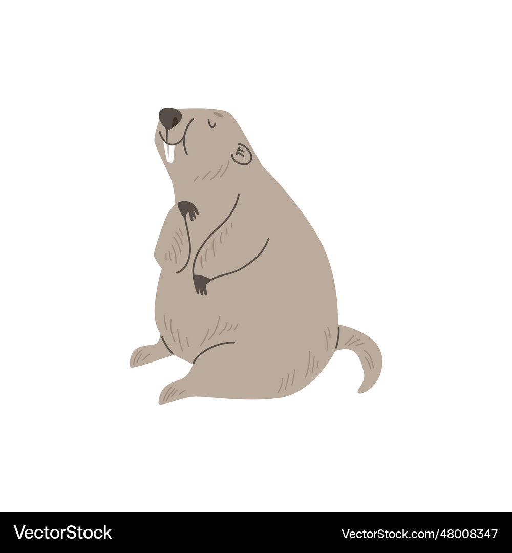 Cheerful groundhog animal cartoon flat Royalty Free Vector