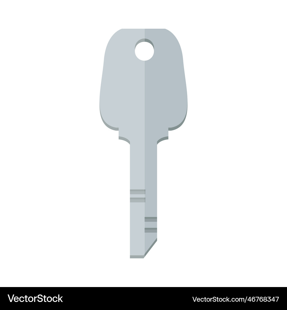 Dimple modern key cartoon Royalty Free Vector Image