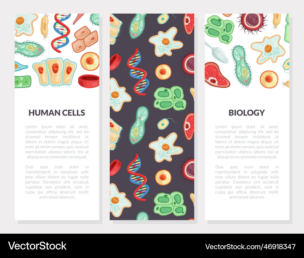 Human cells vertical banner as medicine Royalty Free Vector