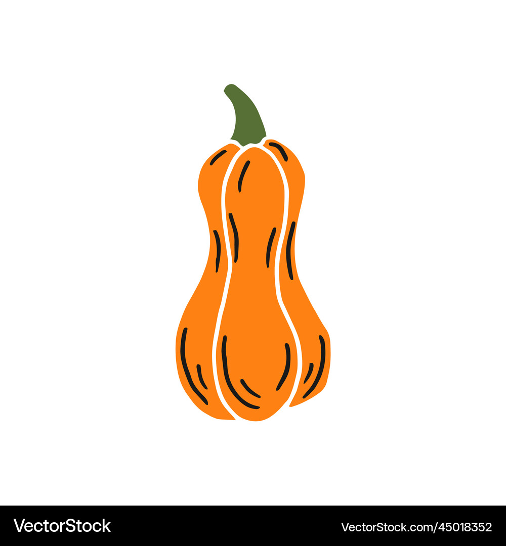 Pumpkin thanksgiving and halloween elements hand Vector Image