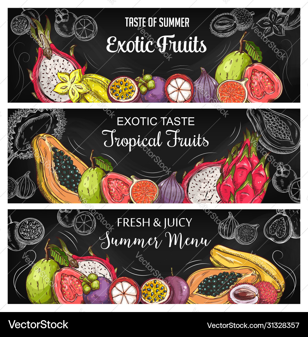 Tropical fruits sketch banners Royalty Free Vector Image