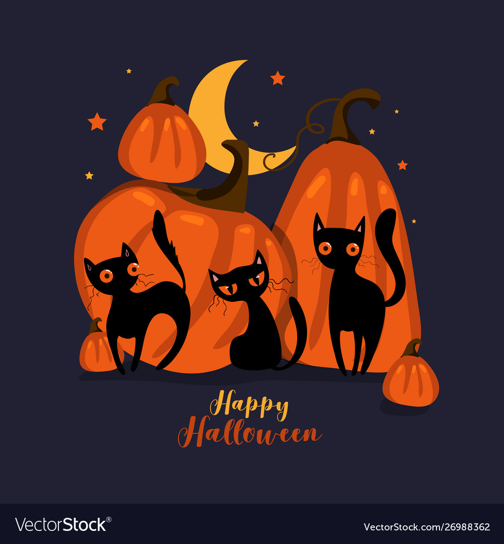Happy halloween card with pumpkin and black cat Vector Image