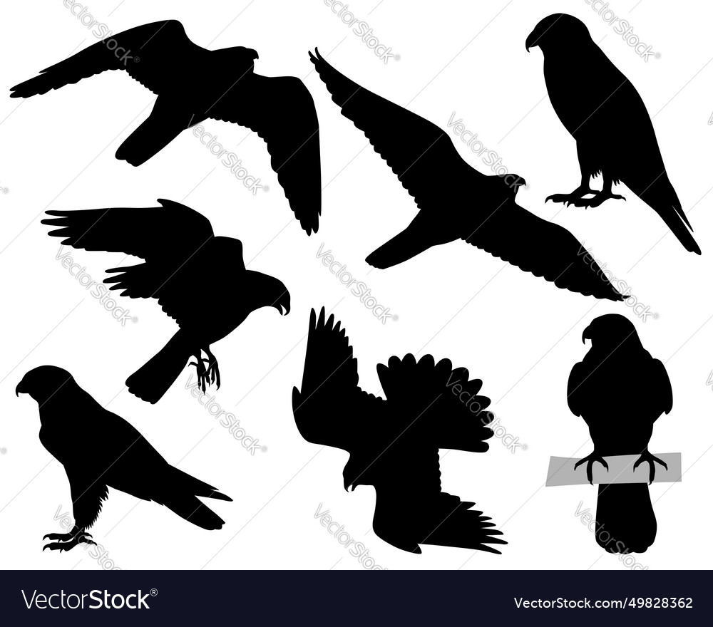 Peregrine falcon silhouette Royalty Free Vector Image Peregrine falcon silhouette Royalty Free Vector Image