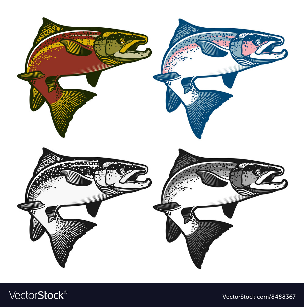 Fishing emblems labels and design elements Vector Image