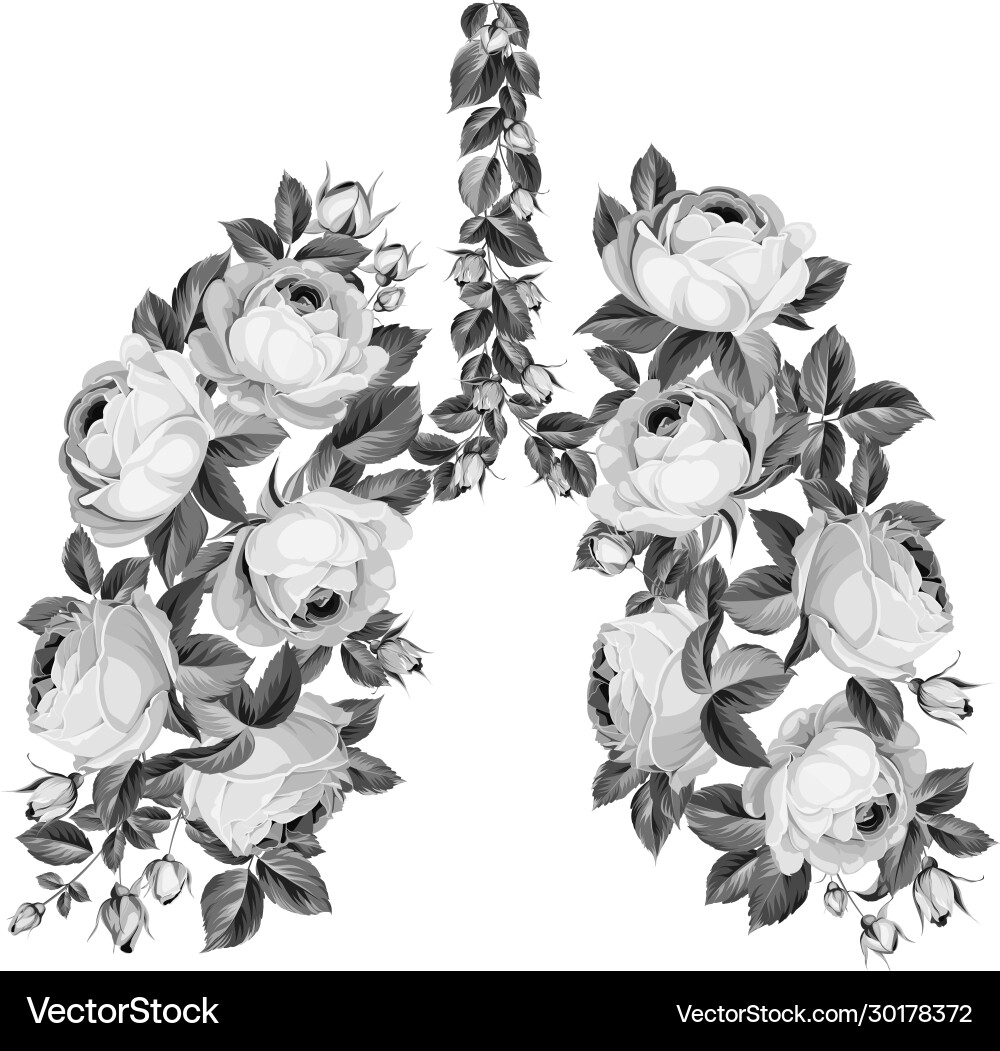 Pink roses in form human lungs as symbol Vector Image