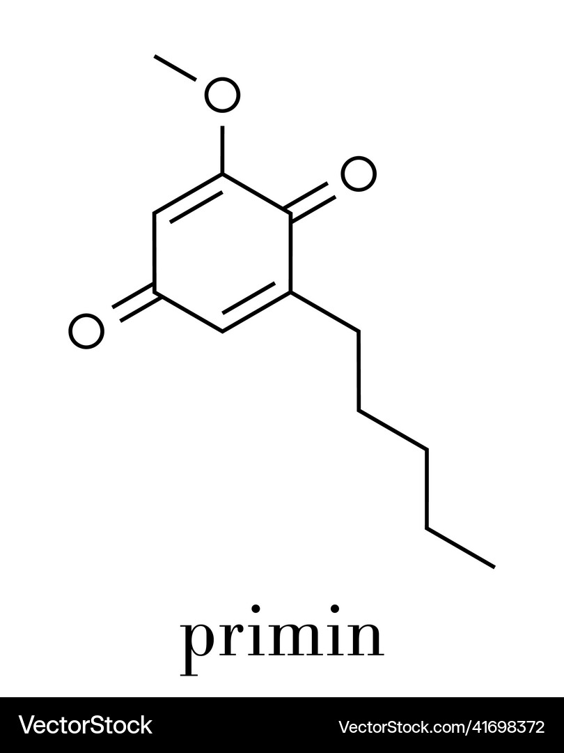 Primin primrose plant allergen molecule skeletal Vector Image