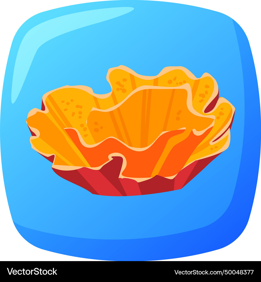 Colorful seashell on blue background cartoon Vector Image