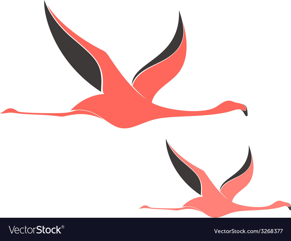 Flamingo Royalty Free Vector Image - VectorStock