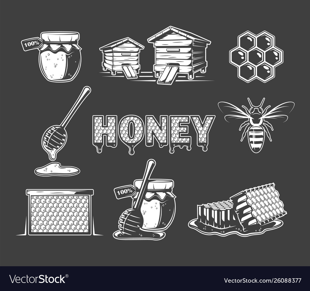 Set elements honey Royalty Free Vector Image - VectorStock