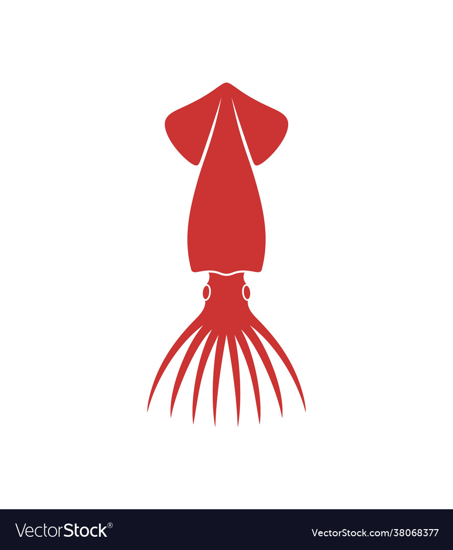 Squid Royalty Free Vector Image - VectorStock