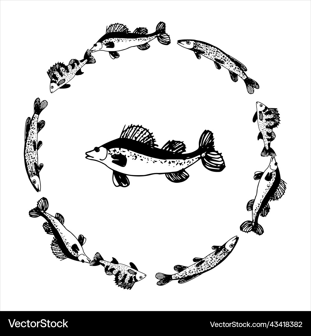 Decorative doodle round wreath of ruff fish Vector Image