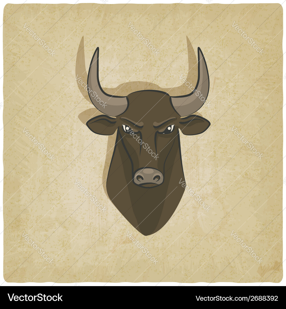 Bull head old background Royalty Free Vector Image