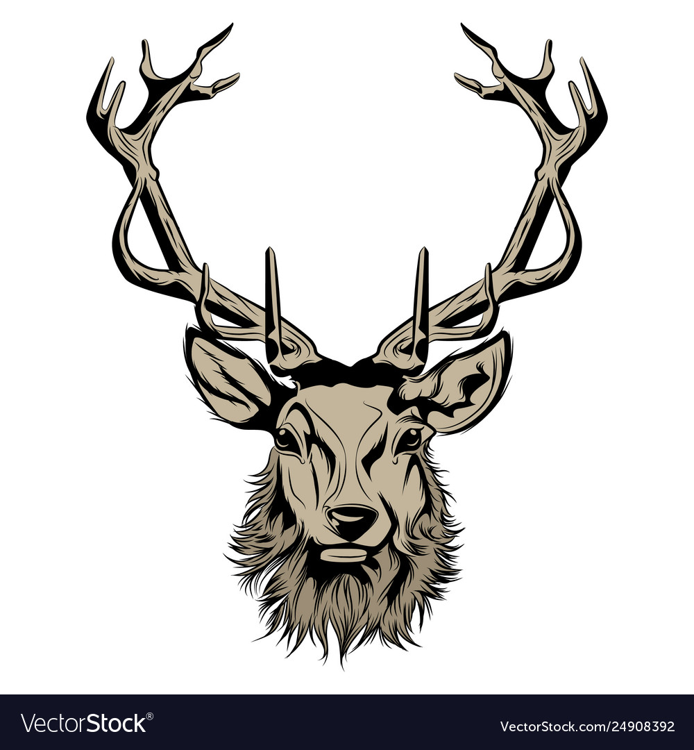Head deer Royalty Free Vector Image - VectorStock