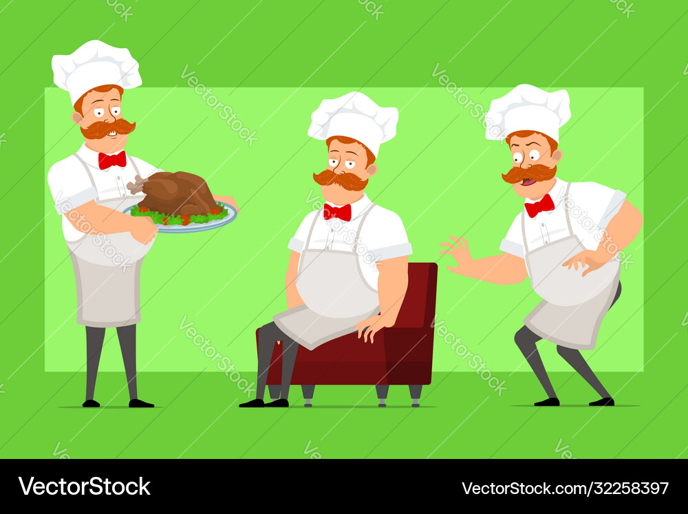 Cartoon flat fat chef cook man character Vector Image