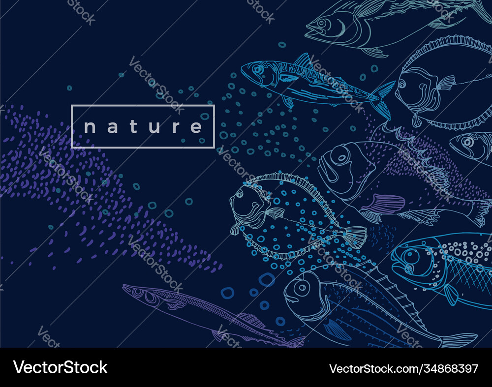 Marine template nature sea fish Royalty Free Vector Image