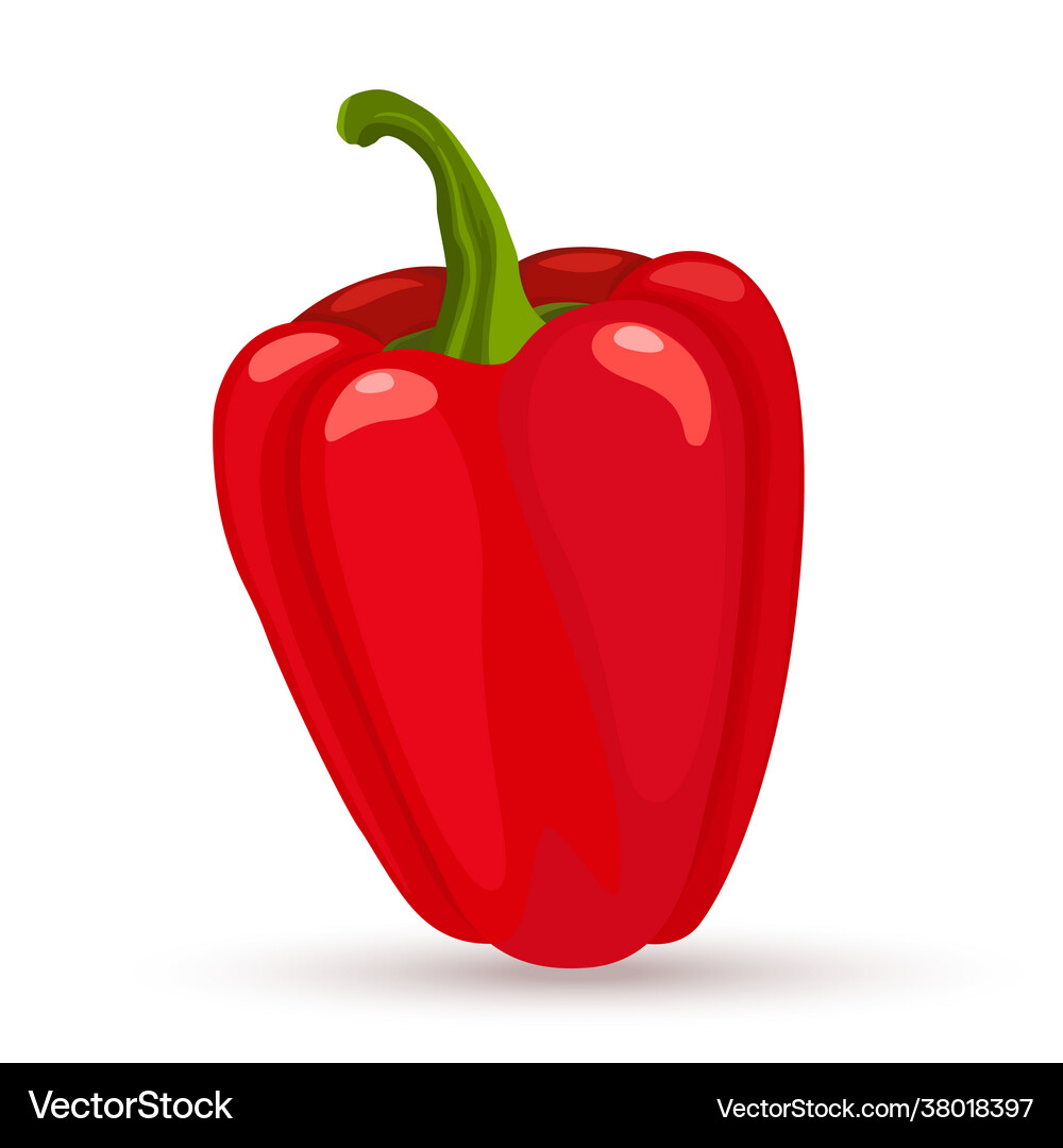 Red bell pepper flat style icon sweet pepper Vector Image