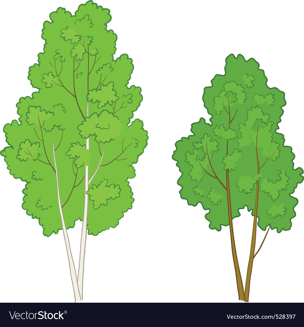 Trees deciduous Royalty Free Vector Image - VectorStock