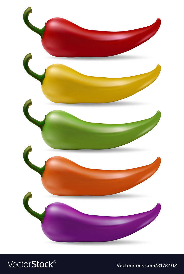 Chilli peppers Royalty Free Vector Image - VectorStock