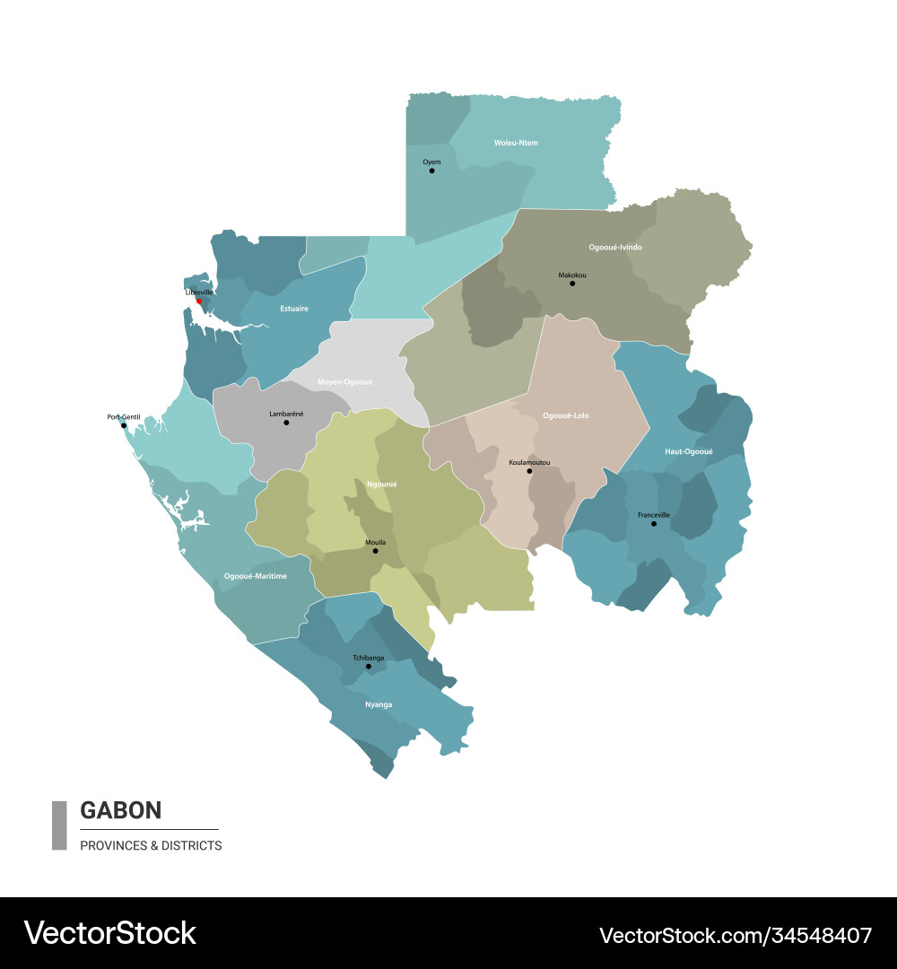Gabon higt detailed map with subdivisions Vector Image