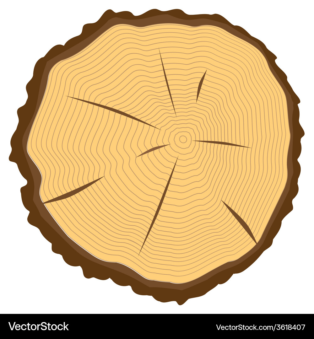 Tree Ring Cross-Section Royalty Free Vector Image