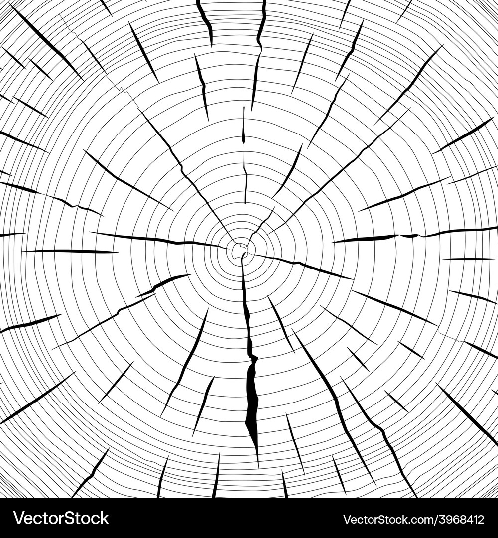 Tree rings saw cut trunk background Royalty Free Vector