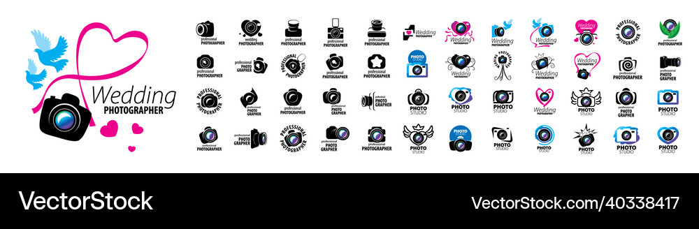 A set of logos by professional Royalty Free Vector Image