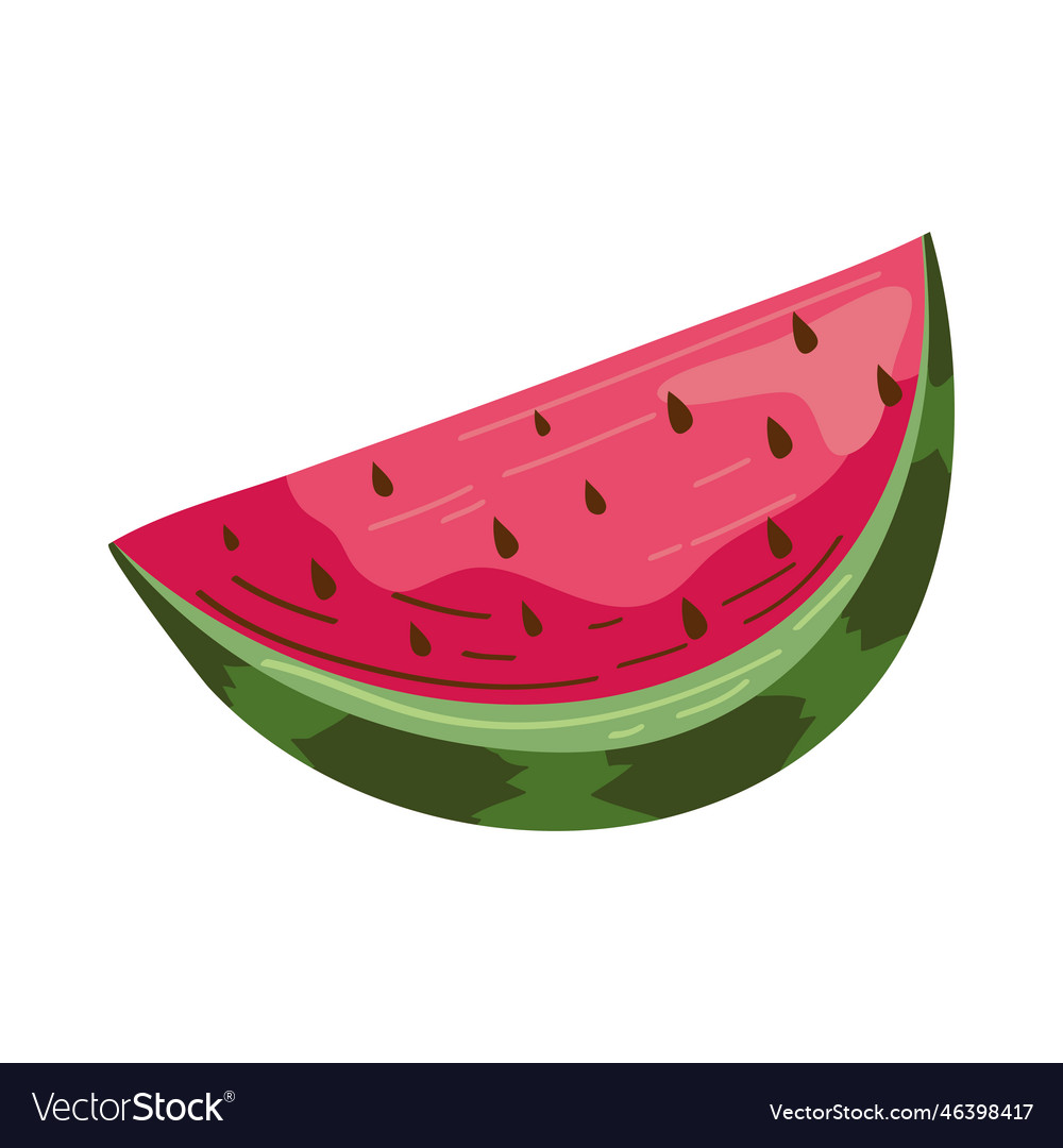 Fresh watermelon fruit healthy Royalty Free Vector Image Fresh watermelon fruit healthy Royalty Free Vector Image