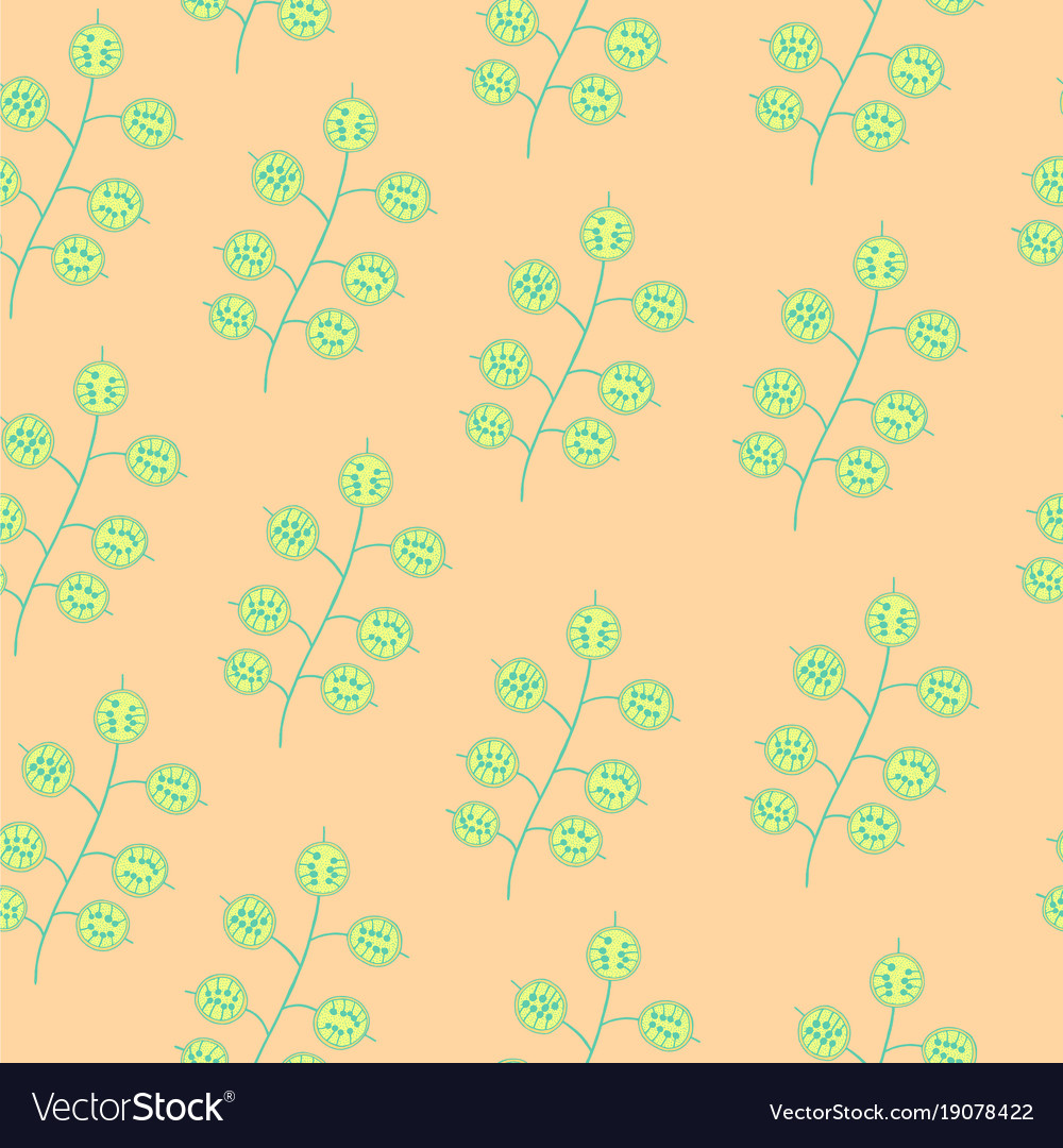 Lunaria exotic flower on pink - seamless doodle Vector Image