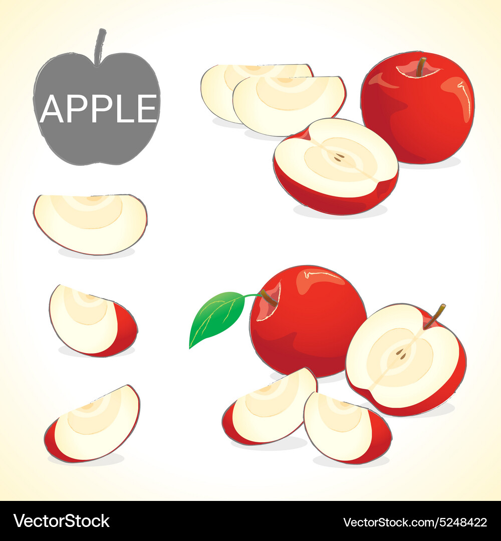 Set of apple fruit in various styles Royalty Free Vector