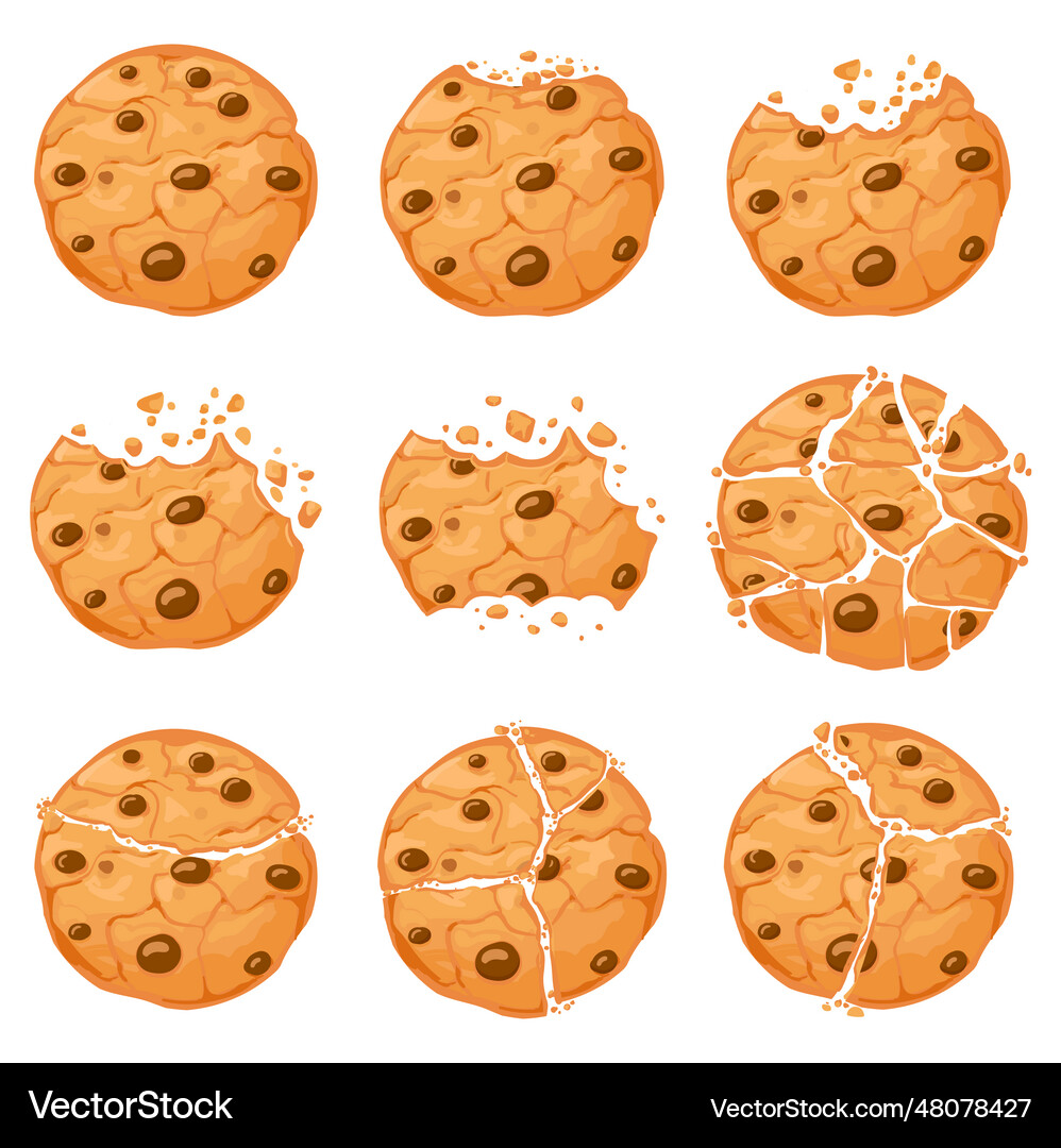 Broken oatmeal cookies cartoon bitten choco chip Vector Image