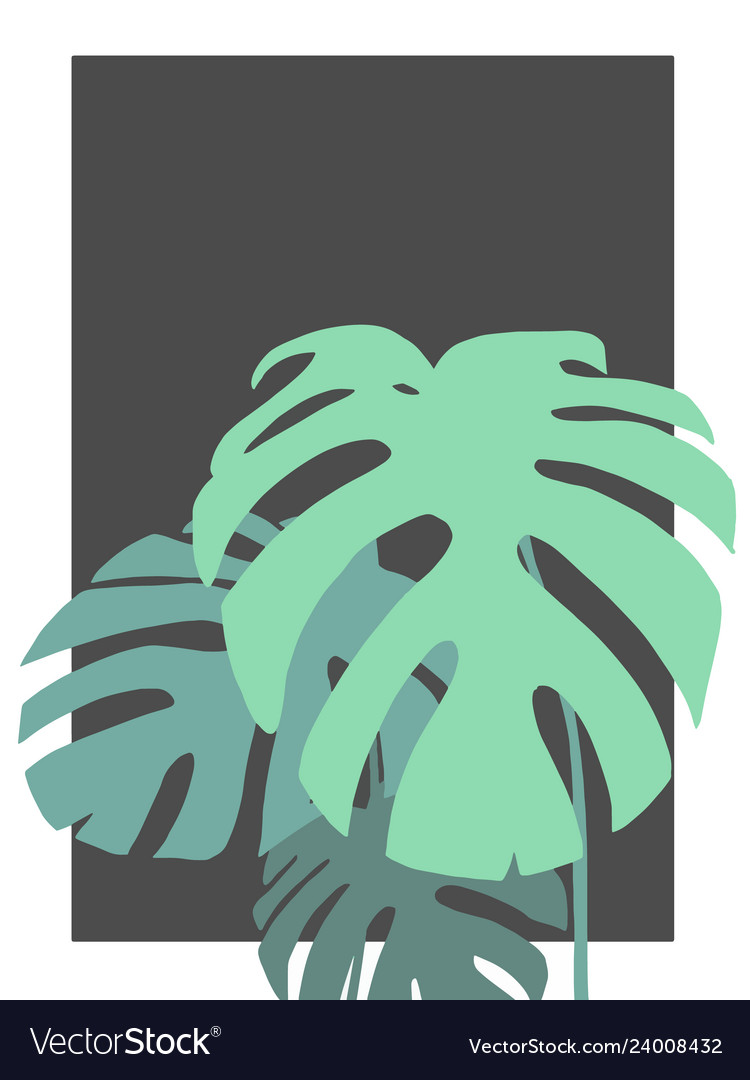 Monstera Royalty Free Vector Image - VectorStock