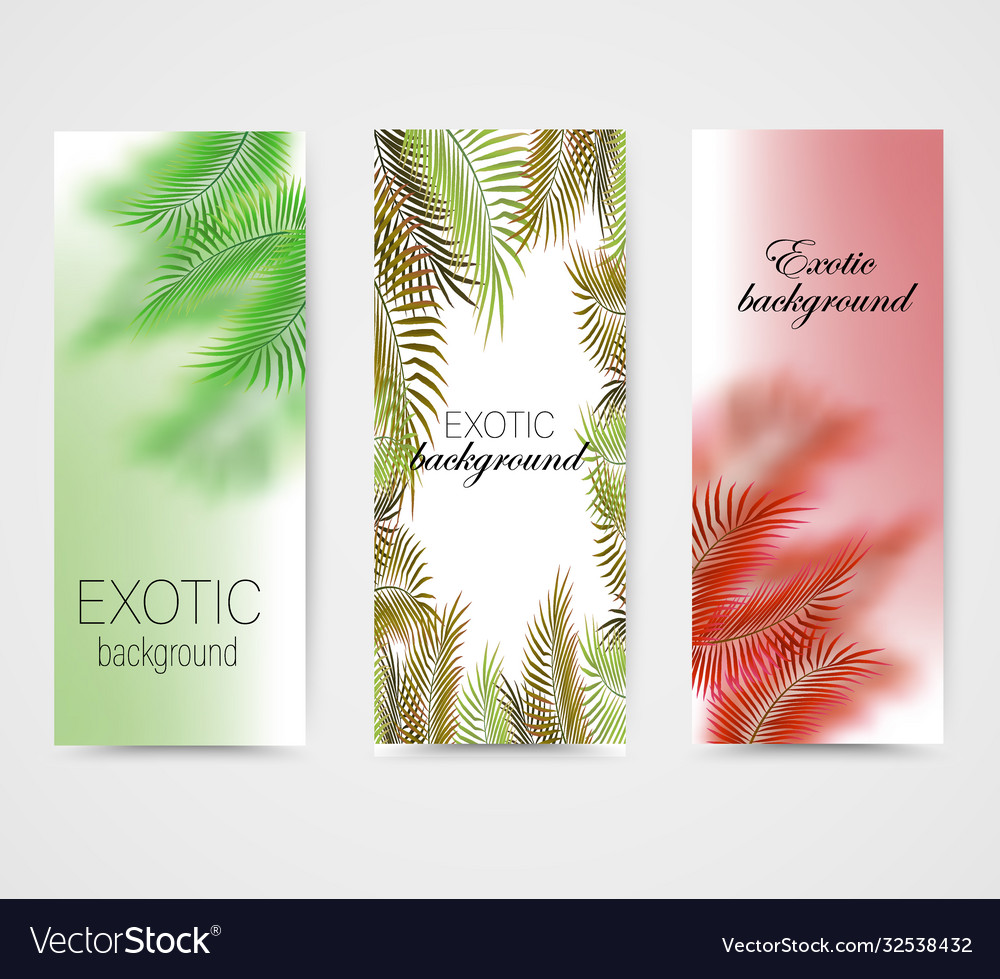 Tropical palm leaves vertical banner set Vector Image