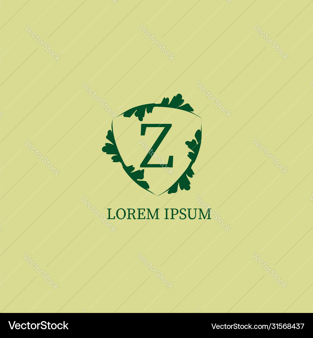 Letter z alphabetic logo design template isolated Vector Image