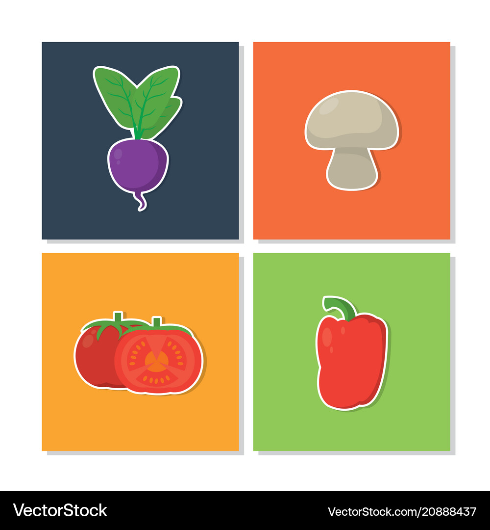 Set healthy food ingredients Royalty Free Vector Image