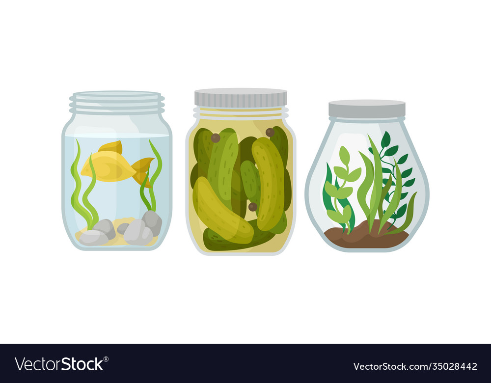 Glass jars with different objects inside Vector Image
