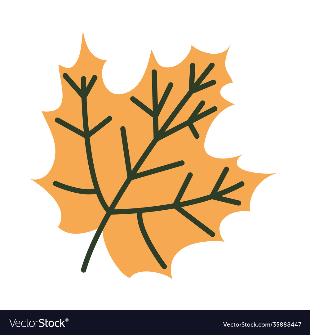 Icon maple leaf half line color style Royalty Free Vector
