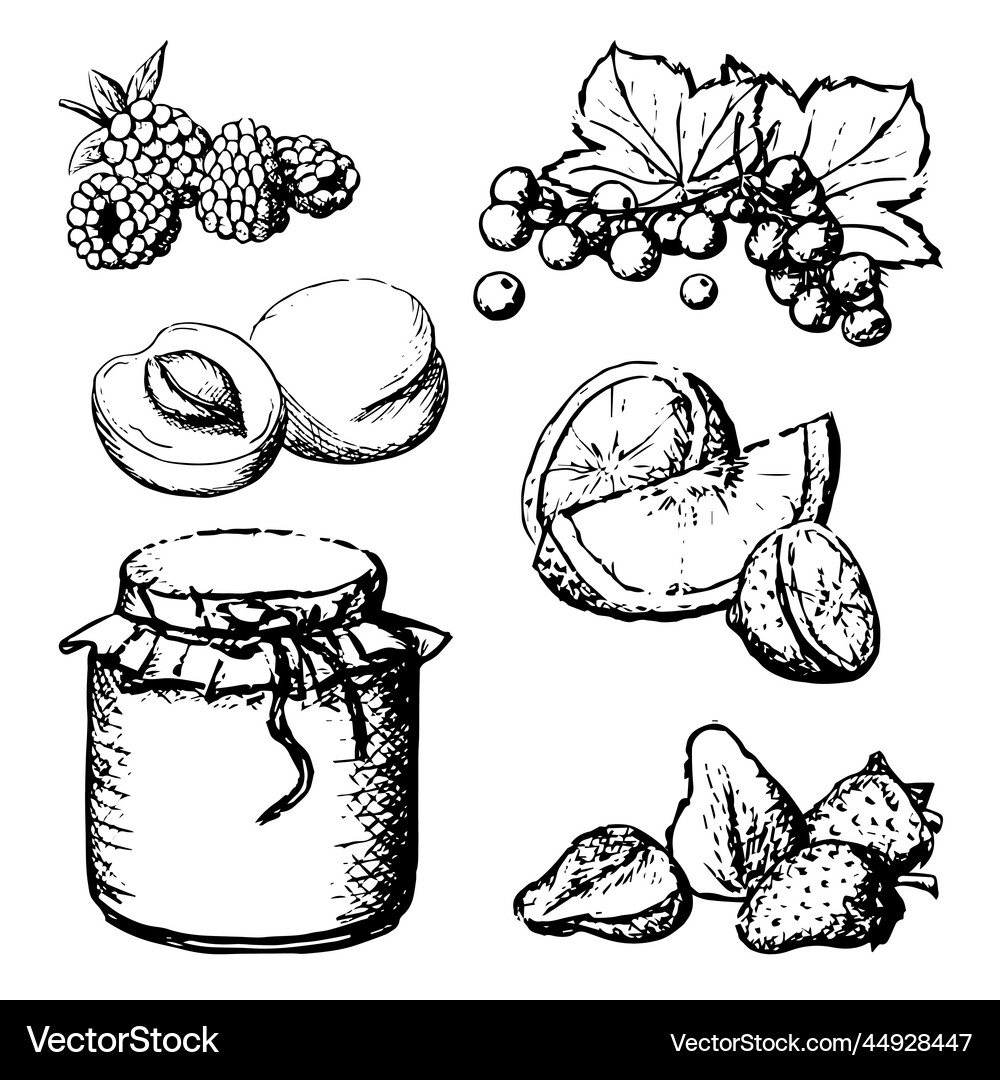 Set of fruit and berries preservation Royalty Free Vector