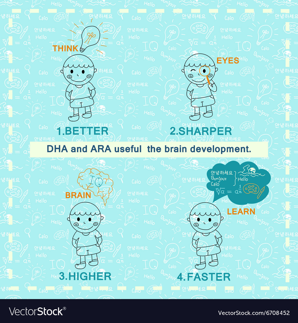 Brain development elements Royalty Free Vector Image