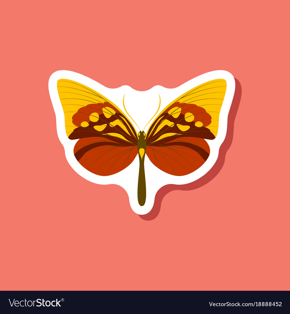 Butterfly Paper Sticker On Stylish Background Vector Image