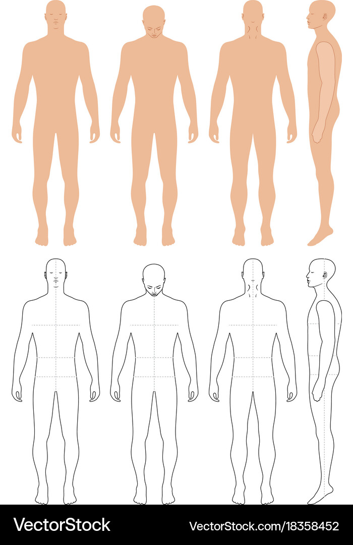 Fashion man figure Royalty Free Vector Image - VectorStock