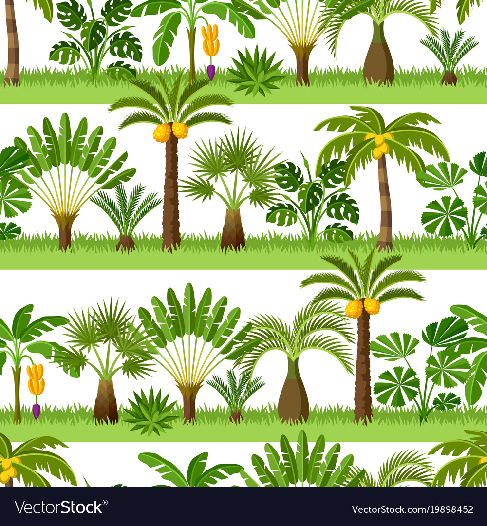 Seamless pattern with tropical palm trees exotic Vector Image
