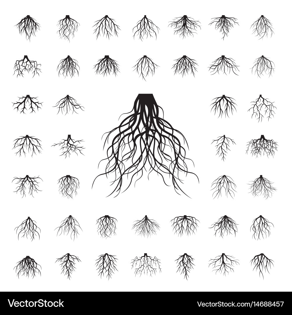 Big set of black roots Royalty Free Vector Image