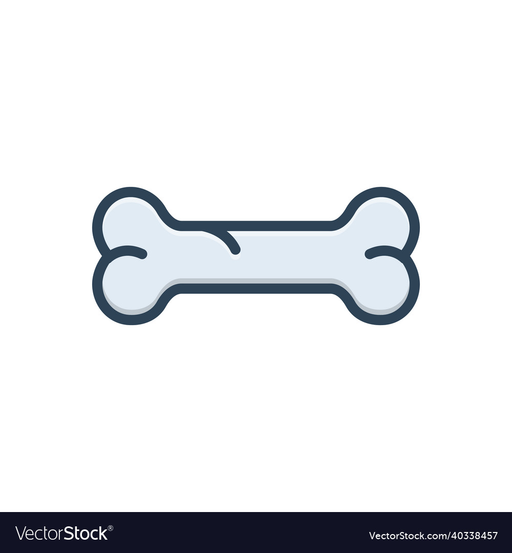 Bone Royalty Free Vector Image - VectorStock