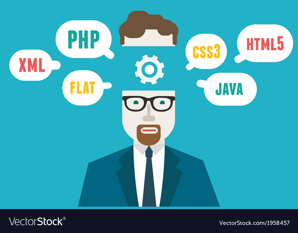 Programmer and process coding and programming Vector Image