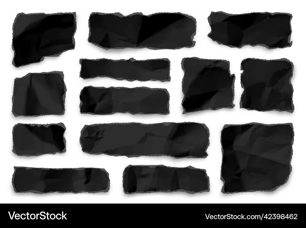 Black ripped paper strips on white background Vector Image